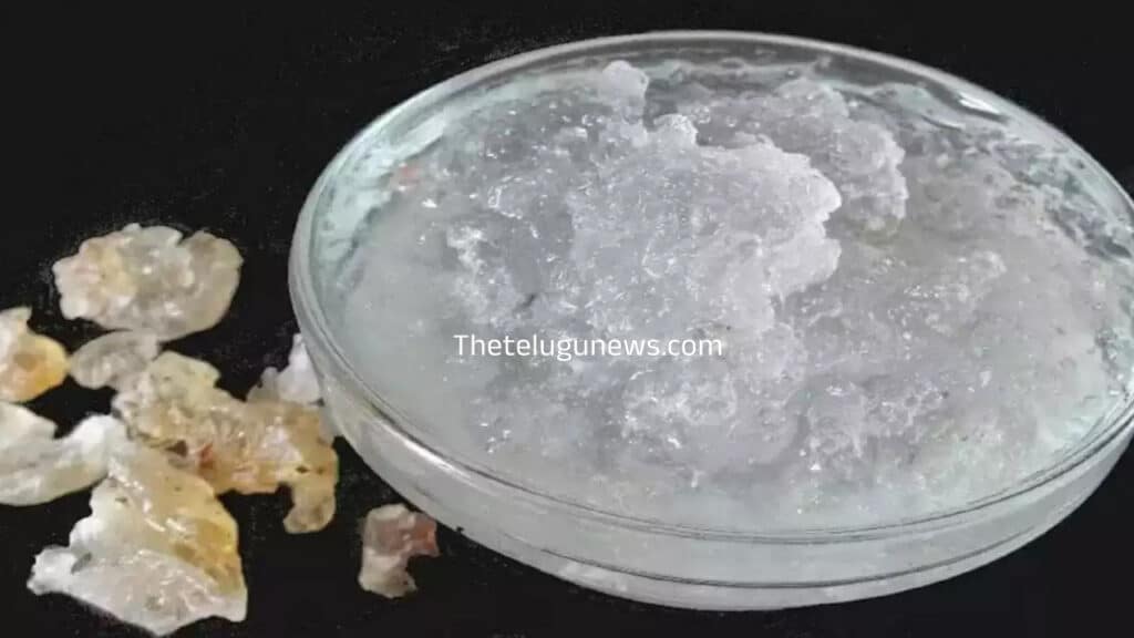 Gond Katira : వేసవి కాలంలో చల్ల చల్లగా గోండ్ కటిరా తిన్నారంటే….ఈ ...